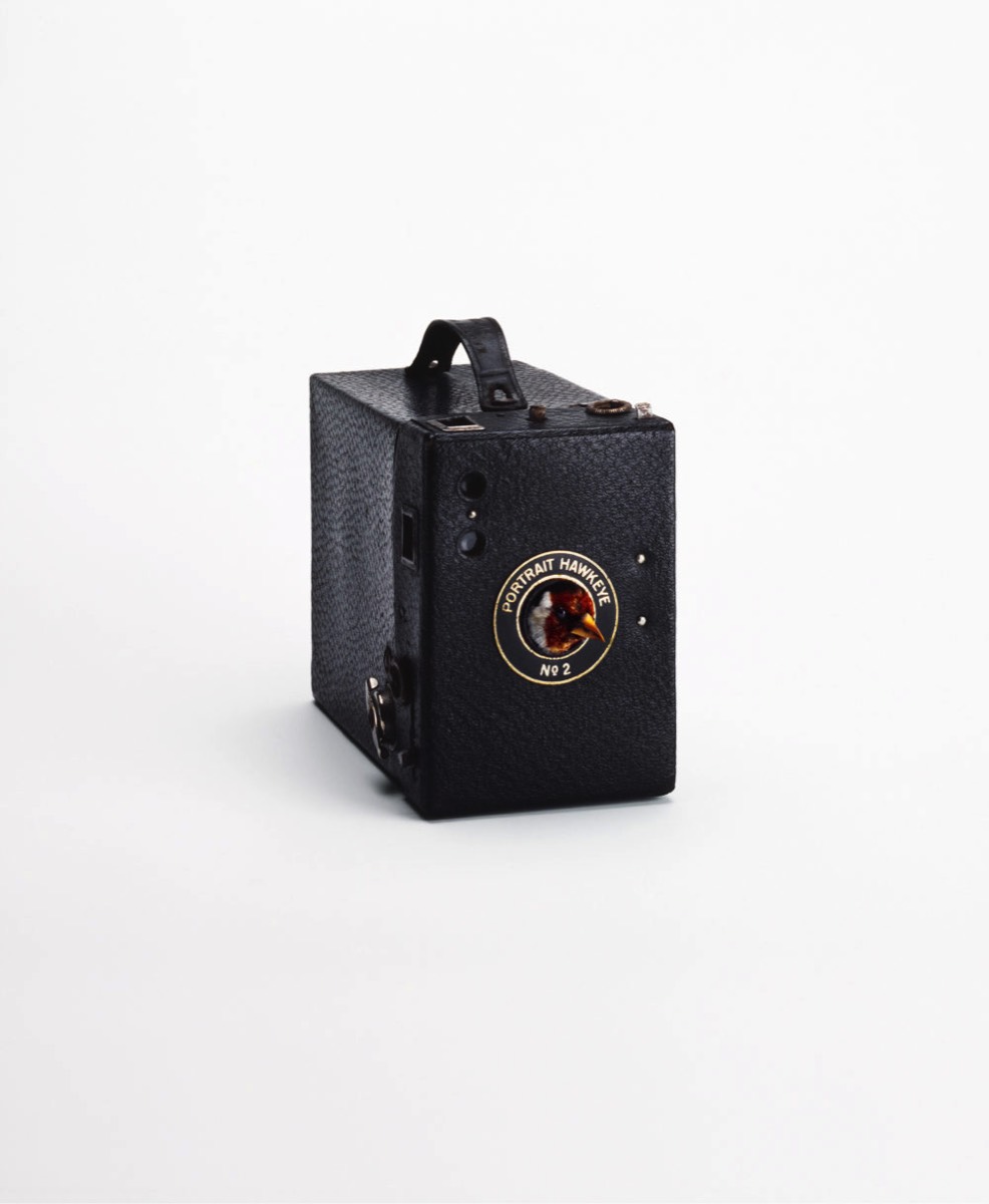 Surreal and Provocative Sculptures by Nancy Fouts