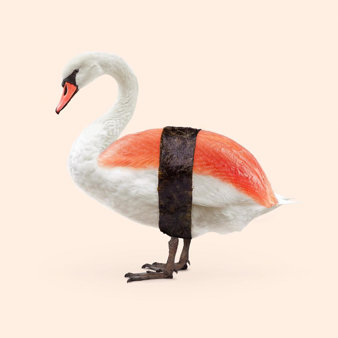 Everyday objects with a fun twist by Paul Fuentes