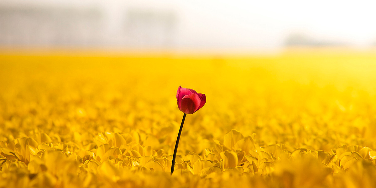 Capturing the Sounds of Silence: The Ethereal Photography of Claire ...